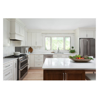 Mohawk Court Kitchen - Transitional - Kitchen - Chicago - by Plain ...