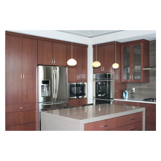 New construction residential project - Modern - Kitchen - Chicago - by ...