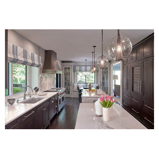 Novi, MI Kitchen and Dining room renovation - Transitional - Kitchen ...