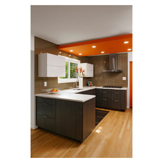 Orange Blaze - Contemporary - Kitchen - DC Metro - by Davida's Kitchen ...