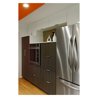Orange Blaze - Contemporary - Kitchen - DC Metro - by Davida's Kitchen ...
