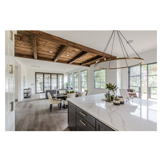 Park Lane - Modern - Kitchen - Austin - by Simply Splendid Photography ...