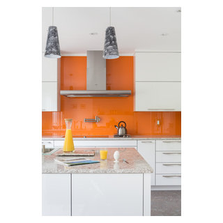 Robin Kitchen - Modern - Kitchen - Toronto - by Paragon Kitchens | Houzz