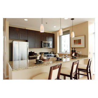 Silver Tower - Transitional - Kitchen - Chicago - by Ami Bumia | Houzz