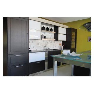 Simplicity with contemporary cabinets - Contemporary - Kitchen - Other ...
