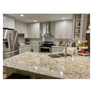 Snow Fall Granite Kitchen countertops - Transitional - Kitchen ...