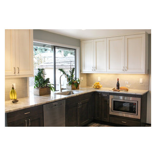 Stainless Steel Appliance - Transitional - Kitchen - Seattle - by ctm ...