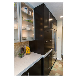 Stoneyside Kitchen - Contemporary - Kitchen - St Louis - by RSI Kitchen ...