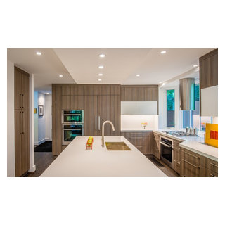 The Kitchen Ward - Modern - Kitchen - DC Metro - by Anthony Wilder ...