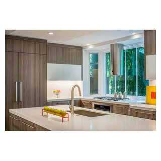 The Kitchen Ward - Modern - Kitchen - DC Metro - by Anthony Wilder ...