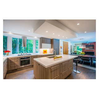 The Kitchen Ward - Contemporary - Kitchen - DC Metro - by Anthony ...