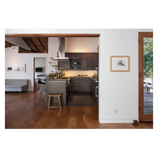 The Shack - Contemporary - Kitchen - San Francisco - by Feldman ...