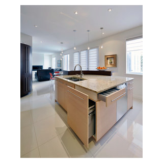 Throwing A Curve - Contemporary - Kitchen - Ottawa - by Design First ...