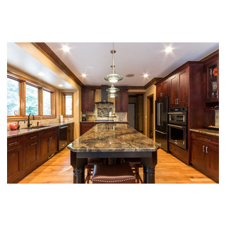 Tom & Stephanie's Kitchen - Transitional - Kitchen - Detroit - by Dream ...