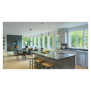 Tree House #3 - Modern - Kitchen - Burlington - by Tektonika Studio ...