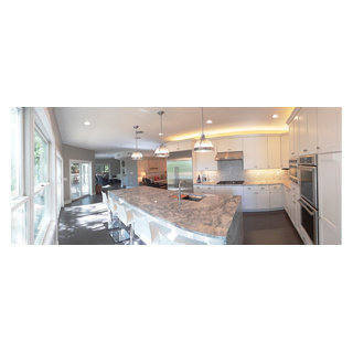 Tree Top Kitchen Addition & Remodel - Traditional - Kitchen - Other ...