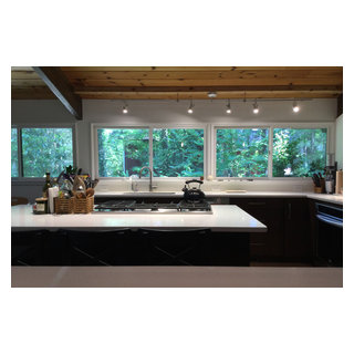 Triangle Modernist Home Renovation - Modern - Kitchen - Raleigh - by ...