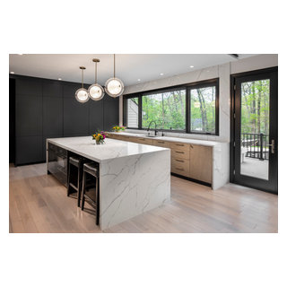 Urban Chic Kitchen Remodel in Oak Hill, Virginia - Modern - Kitchen ...