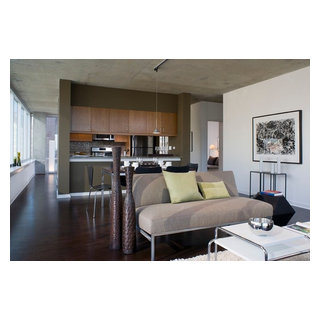 Vetro - Modern - Kitchen - Chicago - by Thomas Roszak Architecture, LLC ...