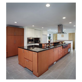 Washington D.C. Dream Kitchen - Modern - Kitchen - DC Metro - by ...