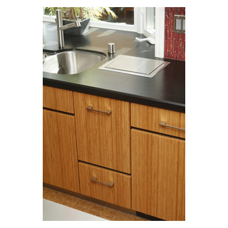 Waste System Combo Pack - Contemporary - Kitchen - San Francisco - by ...