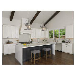 Wellborn Forest Cabinetry - Contemporary - Kitchen - Chicago - by C&H ...