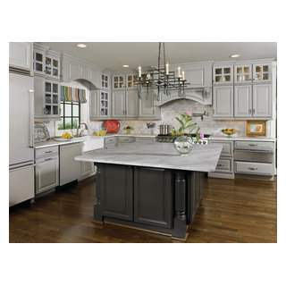Wellborn Forest Cabinetry - Transitional - Kitchen - Chicago - by C&H ...