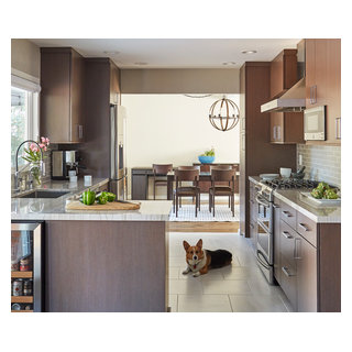 Wenge Contemporary Kitchen - Contemporary - Kitchen - San Francisco ...