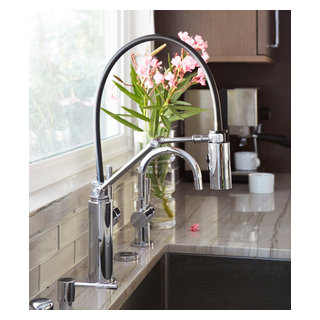 Wenge Contemporary Kitchen - Contemporary - Kitchen - San Francisco ...