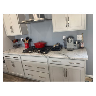 White Kitchen in "Infinity White" Quartzite Countertops - Transitional ...