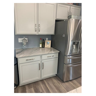 White Kitchen in "Infinity White" Quartzite Countertops - Transitional ...