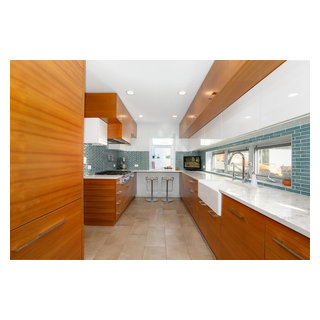 Wicker Park Kitchen & Bathroom Renovation - Midcentury - Kitchen ...