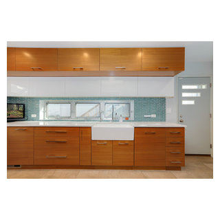 Wicker Park Kitchen & Bathroom Renovation - Midcentury - Kitchen ...