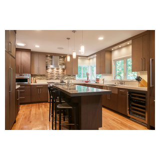 Willow Glen Whole Home Remodel - Contemporary - Kitchen - San Francisco ...