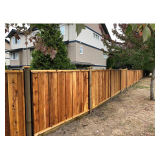 #1 grade cedar overlap board panels + pre stain 200+ linear feet ...