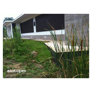 2012 Highlights - Modern - Landscape - Austin - by Ecotopes | Houzz
