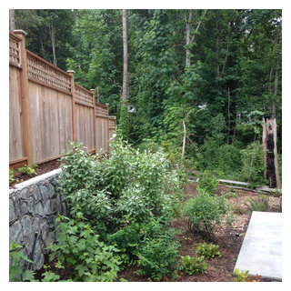 2016 BC Native plants planting a year later - Rustic - Landscape ...