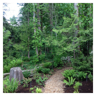 2016 BC Native Plants planting a year later - Rustic - Landscape ...