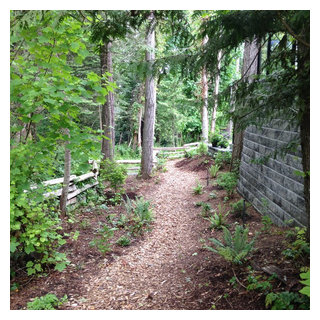 2016 BC Native plants planting a year later - Rustic - Landscape ...