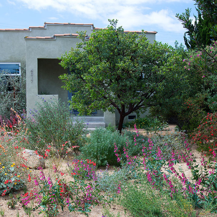 75 Beautiful Australian Native Garden Ideas & Designs - August 2022 ...