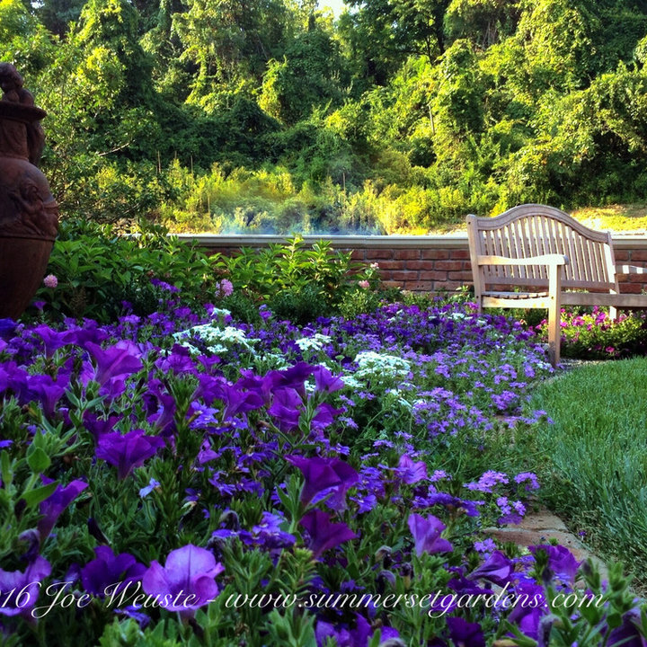 Front Yard Courtyard Ideas - Photos & Ideas | Houzz