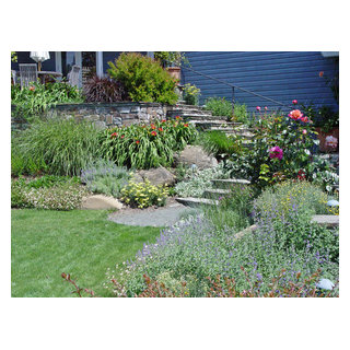 A Larkspur Garden - Traditional - Landscape - San Francisco - by ...