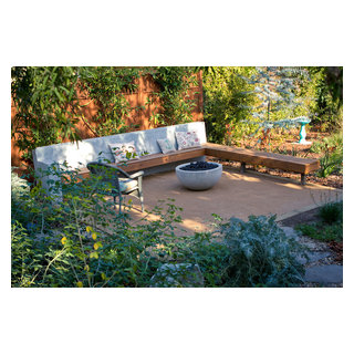 A Natural Refuge in Hollywood - Back Yard - Mediterranean - Landscape ...