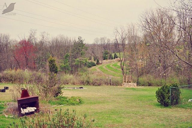 Steal This Landscape View