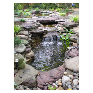 A Pond for the Front Entry - Eclectic - Landscape - DC Metro - by Mary ...