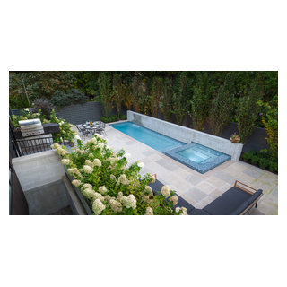 A "Quick Dip" - Custom Concrete Pool & Spa - Modern - Landscape ...