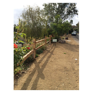 Alexander Residence - Traditional - Landscape - Los Angeles - by ...