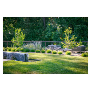 Alhambra Valley 3 - Modern - Landscape - San Francisco - by Envision ...