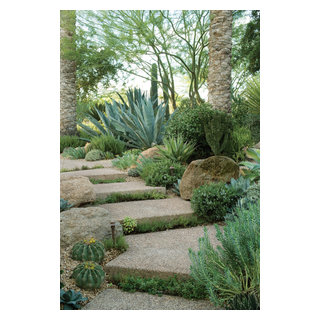 An artful blend of hardscaping and succulents can act as a natural fire ...