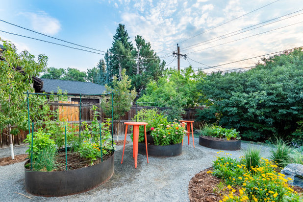 What to Know About Adding or Renovating an Edible Garden
